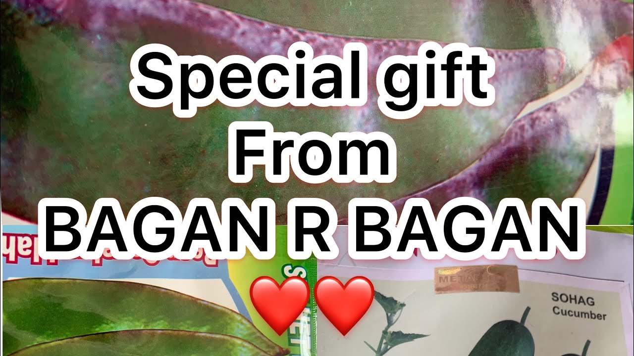 SPECIAL GIFT FROM BAGAN R BAGAN!! - YouTube