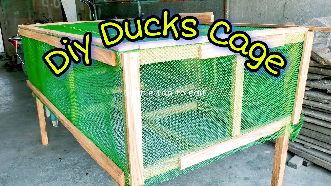Gawa ng DIY Kulungan ng mga Pato - YouTube