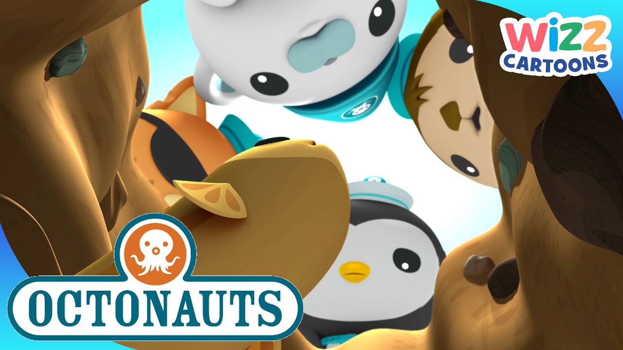 @Octonauts - Sunlight Ocean | Compilation | Wizz Cartoons - YouTube
