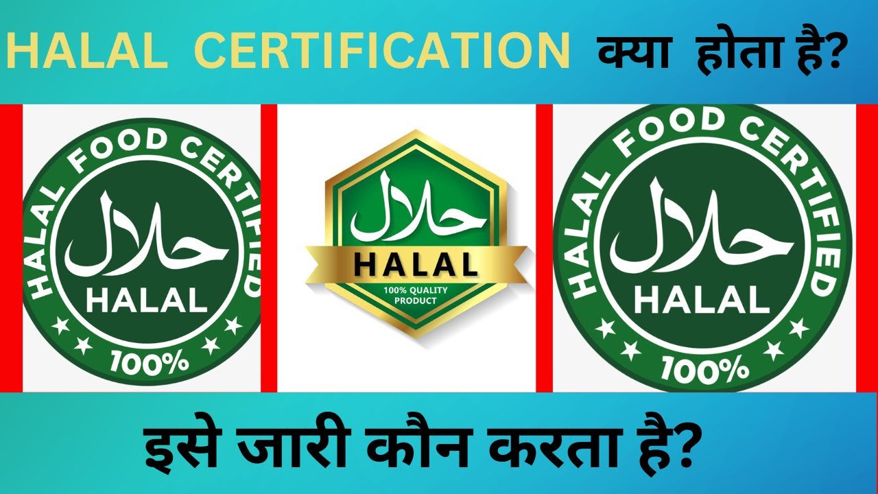 halal certificate kya hai || halal products kya hai - YouTube
