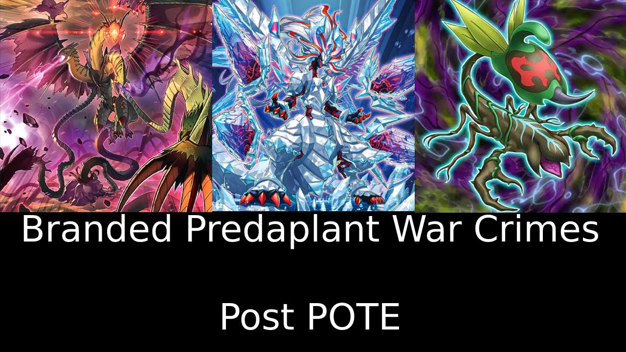 Branded Predaplant Combos post POTE - YouTube