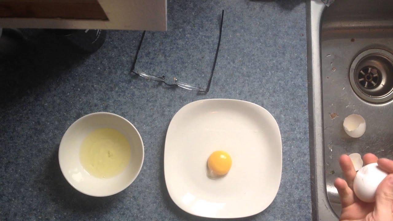 The Yolker - YouTube