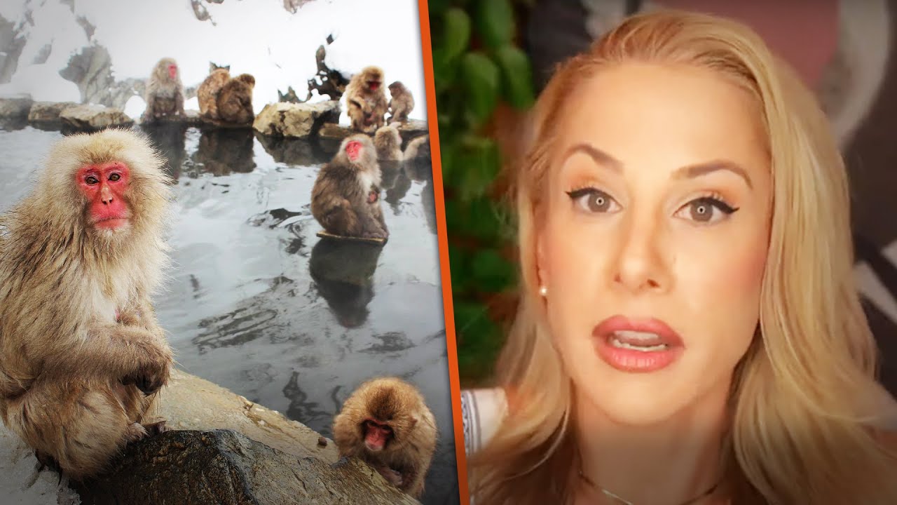 Violent Monkeys TERRORIZE City In Japan - YouTube