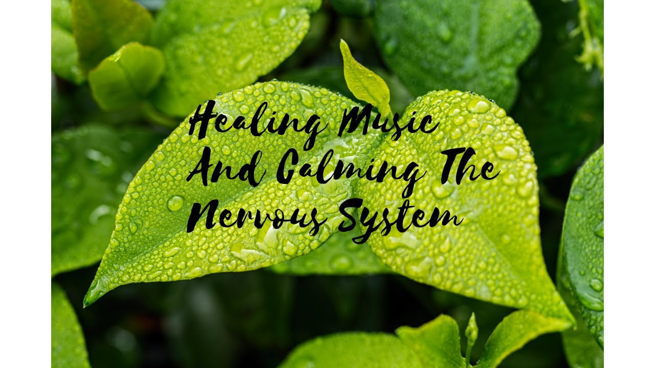 Relaxing, Healing Music And Calming The Nervous System, Instant Relief ...