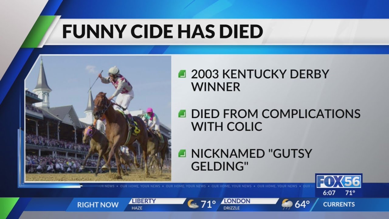 Kentucky Derby winner "Funny Cide" dies - YouTube