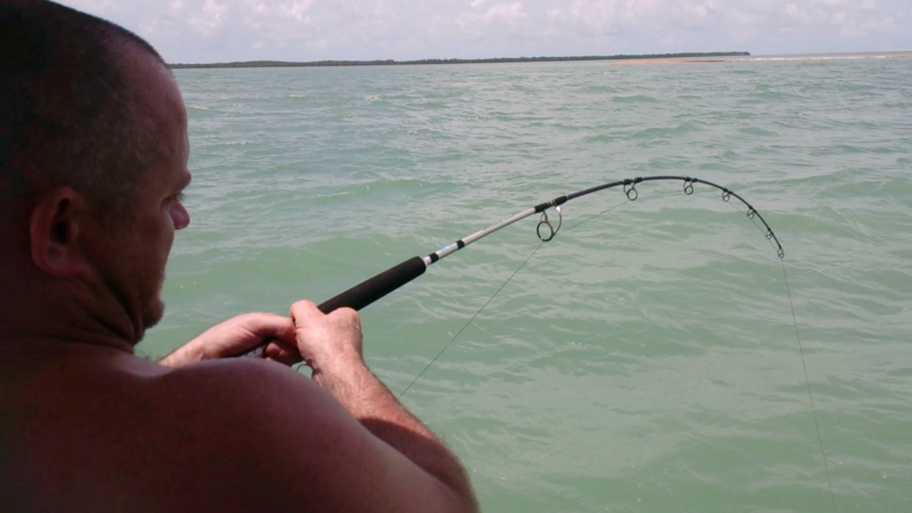 130cm Jew Fish at Bynoe Harbour December 2016 Australia Northern ...