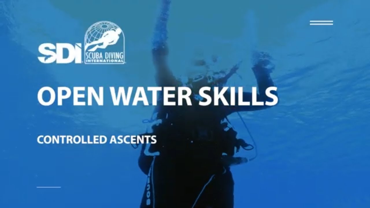 How To Do Controlled Ascents - SDI Open Water Skills - YouTube