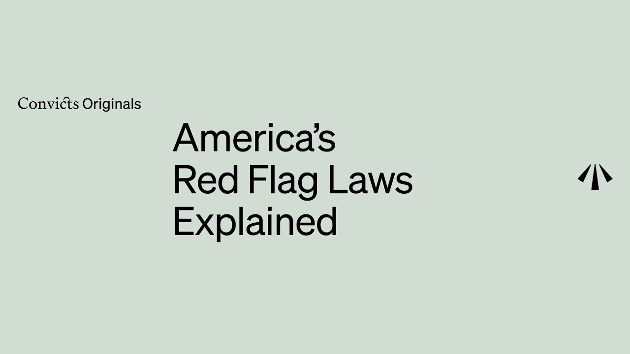 What Are Red Flag Laws? An Expert Forensic Psychologist Weighs In - YouTube