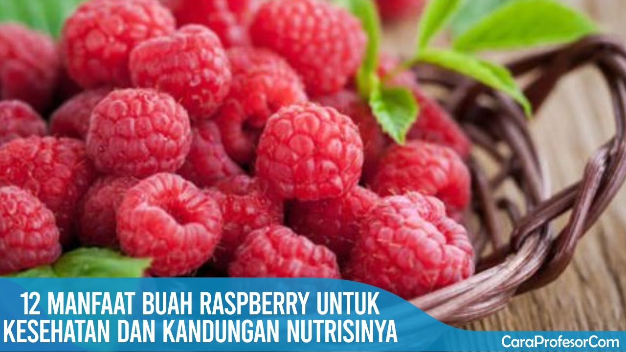 12 Manfaat Buah Raspberry Untuk Kesehatan Dan Kandungan Nutrisinya ...