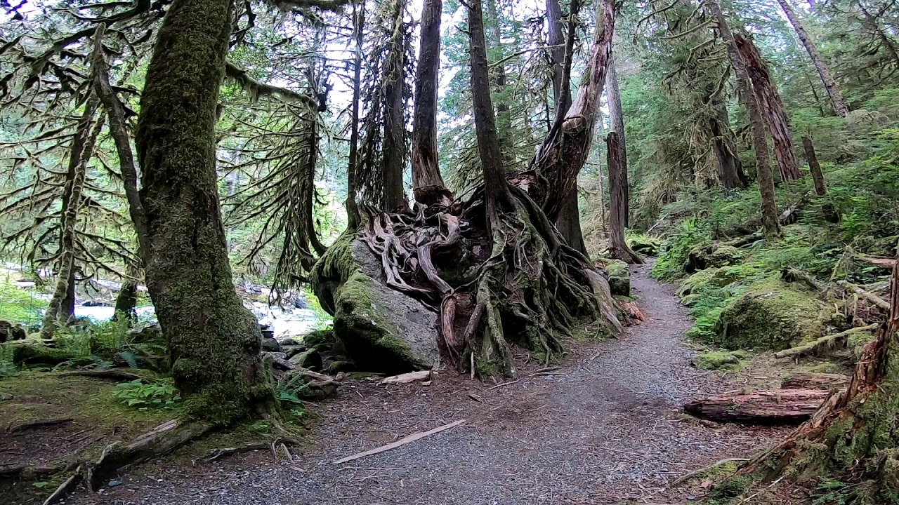 Lake Cushman & Staircase Rapids - YouTube