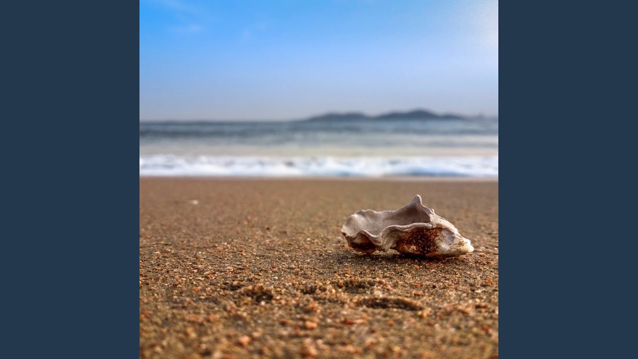 Shell - YouTube