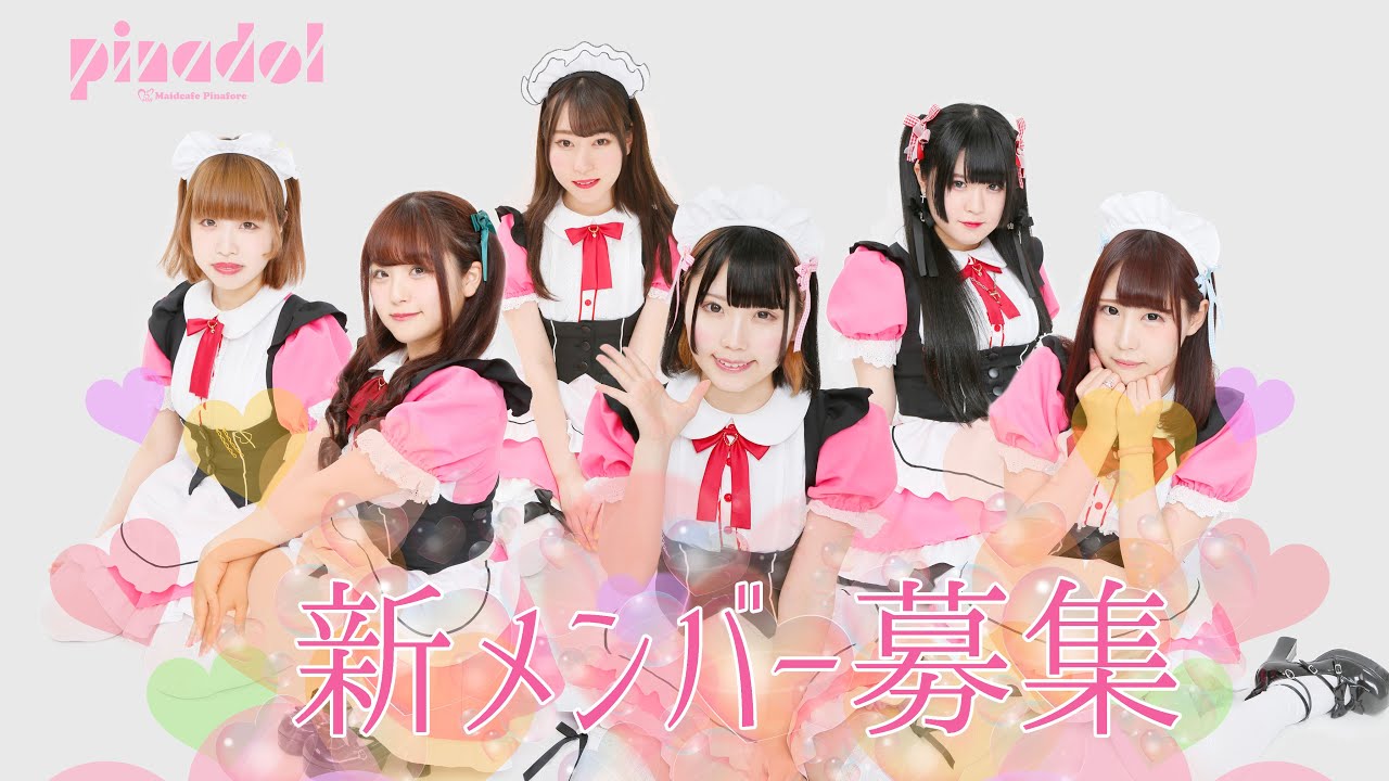 Pinadol新メンバー募集【メイドアイドル】 - YouTube