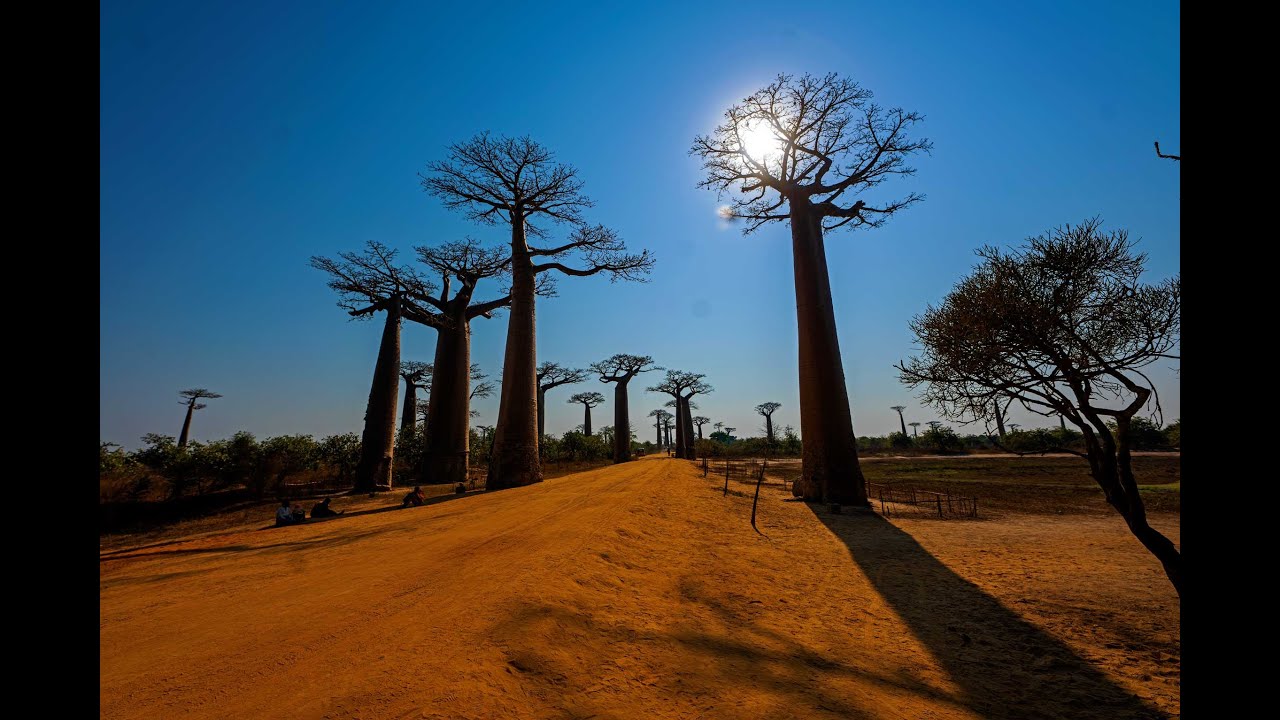 Madagascar People and Environment - YouTube