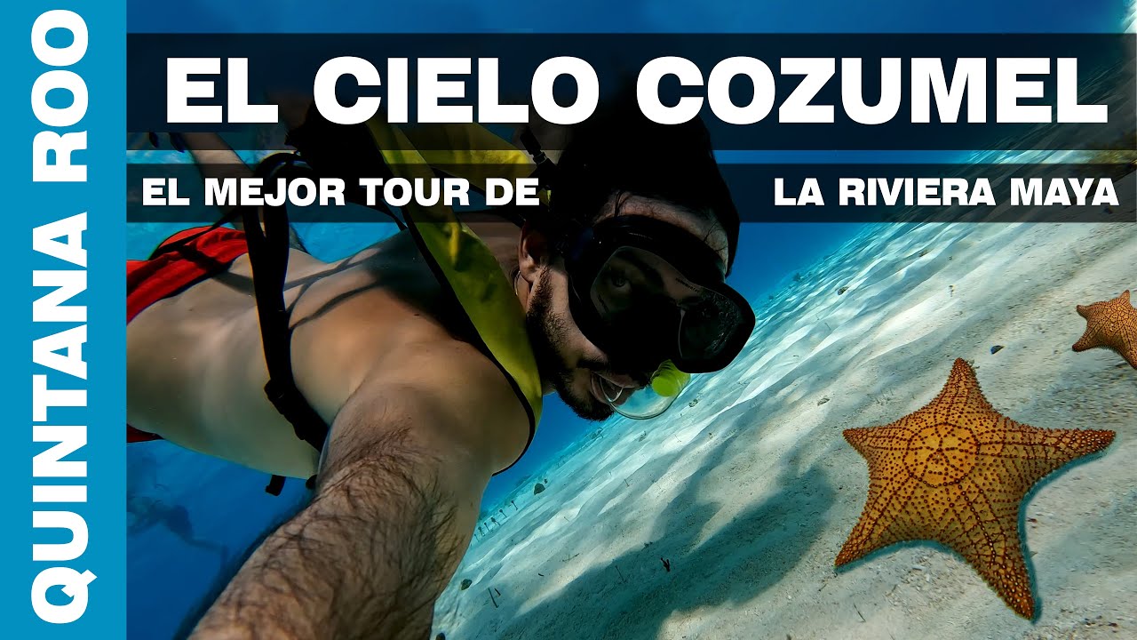 💙 El Mejor Tour desde Playa del Carmen ( El Cielo, Cozumel ) - YouTube