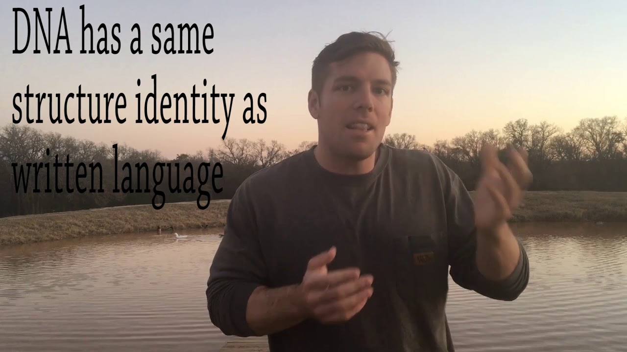 Creation Series - Week 1 - YouTube