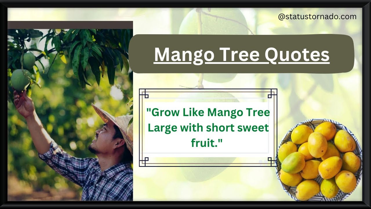 Best Mango Tree Quotes | Status | Captions to Ripe Your Day For Free ...