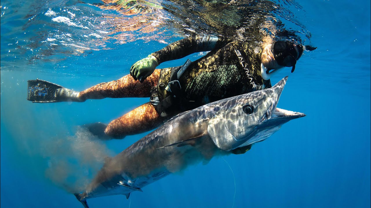 Best Spearfishing of 2023 - YouTube