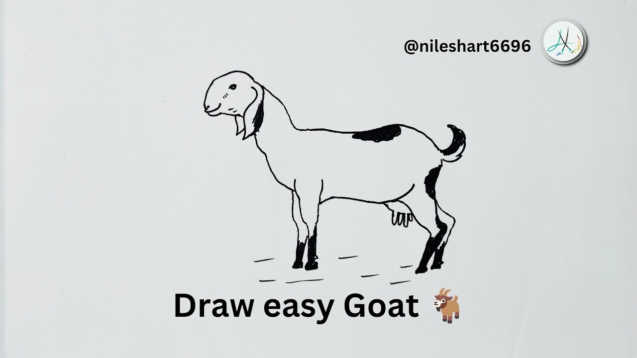 How to easy draw Goat II easy step draw II Goat Drawing II Simple ...