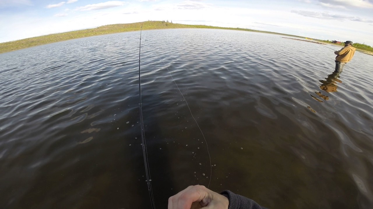 Cast, Catch, and Release. - YouTube