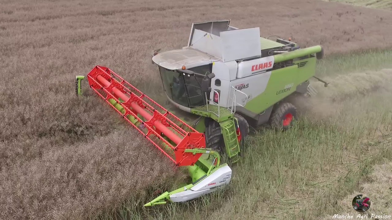 Moisson du colza 2019 | Claas lexion 650 & vario 680 | ETA Gabard - YouTube