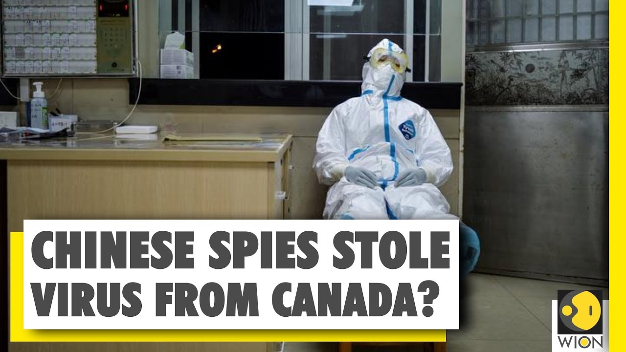 Your Story: Is Coronavirus a biological weapon? WION News | World News ...