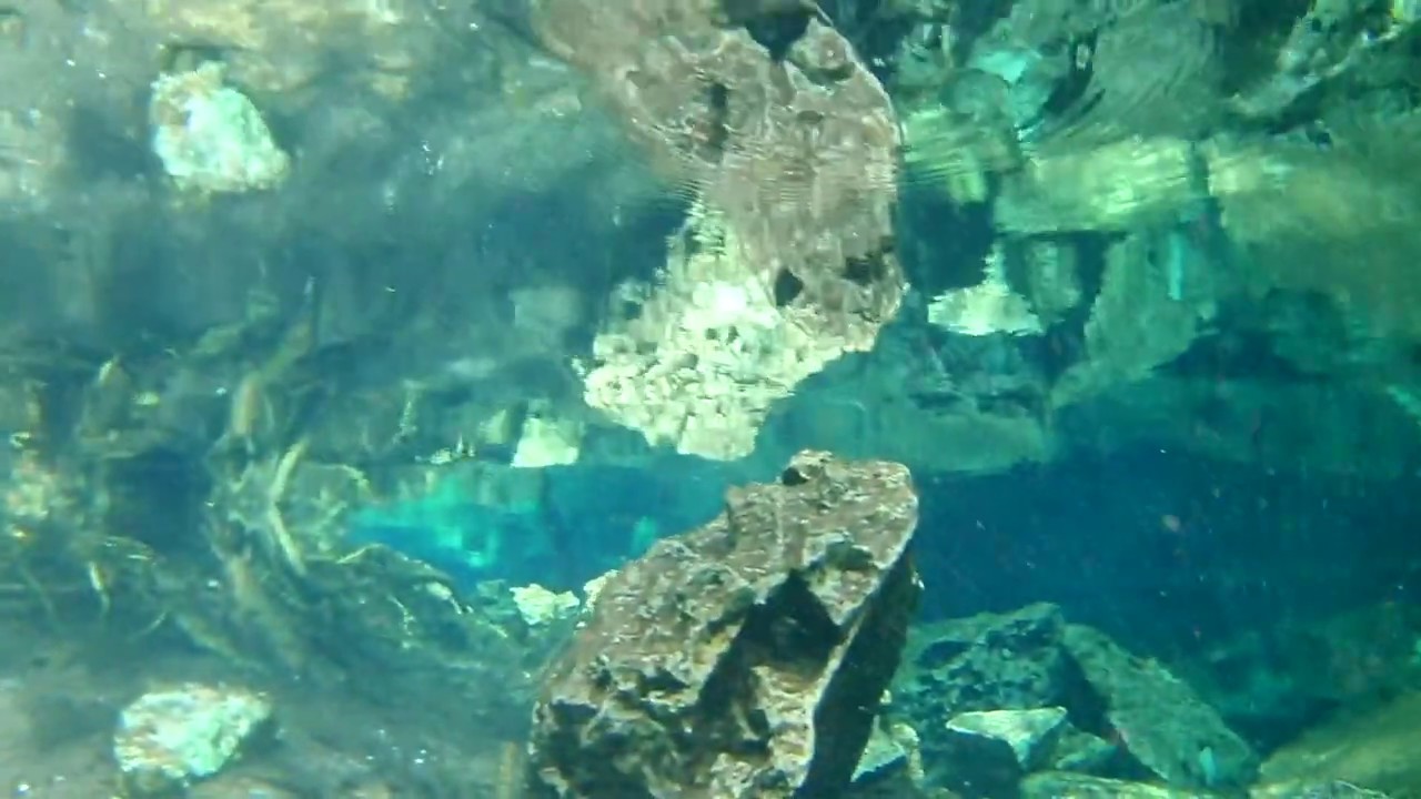 Cenote Media Luna - YouTube
