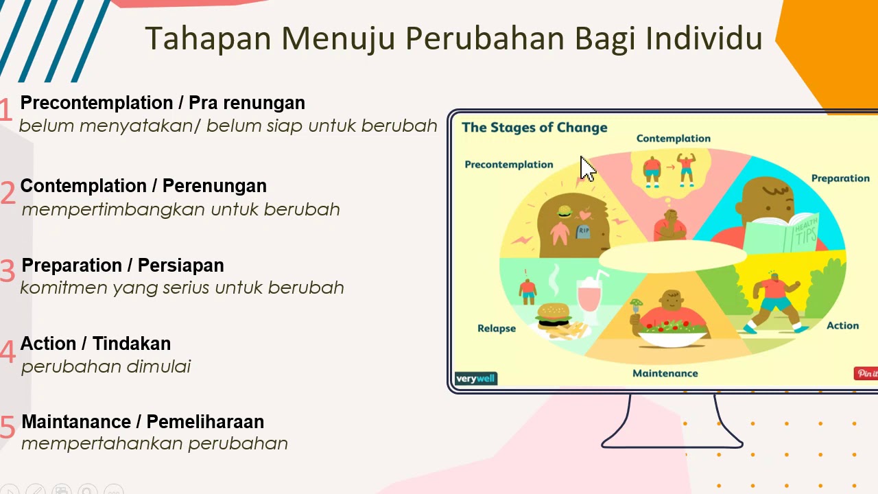 stage of behavior (part 1) - YouTube