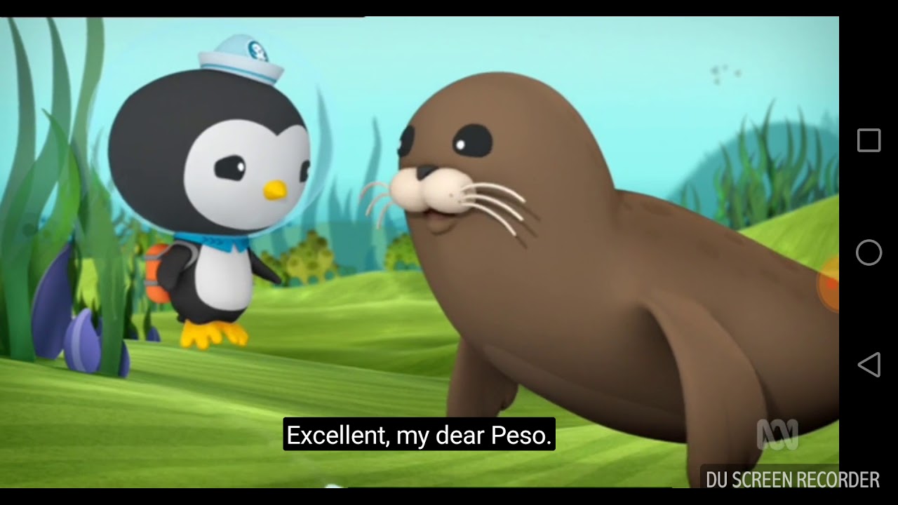 Octonauts and the harbour seal - YouTube