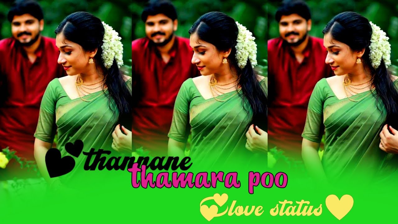 marriage couple watsapp status tamil thanne thamara poo - YouTube