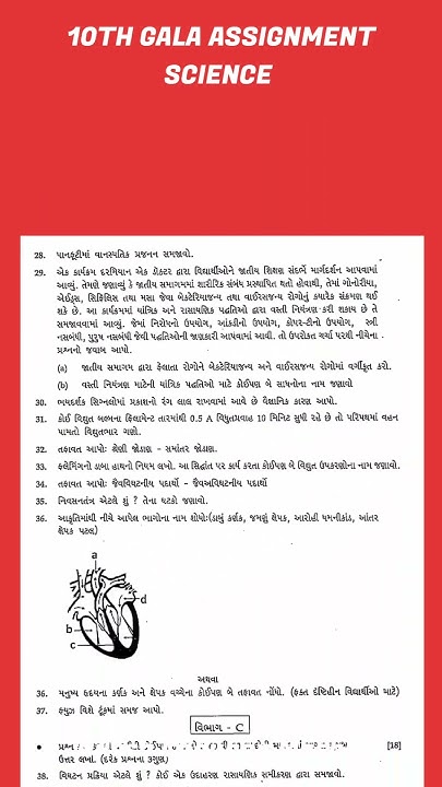 Std 10 science Gala assignment | dhoran 10 Vigyan Gala assignment paper 1| 2024-25 - YouTube