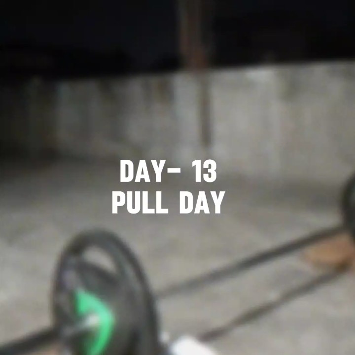 Workout Day- 13 (Pull Day) #fitness #motivation #fitnessjourney #sports ...