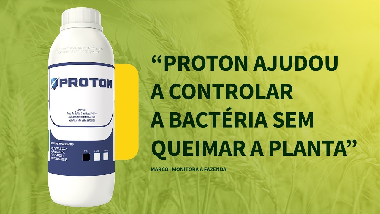 Proton ajudou a controlar a bactéria sem queimar a planta - YouTube