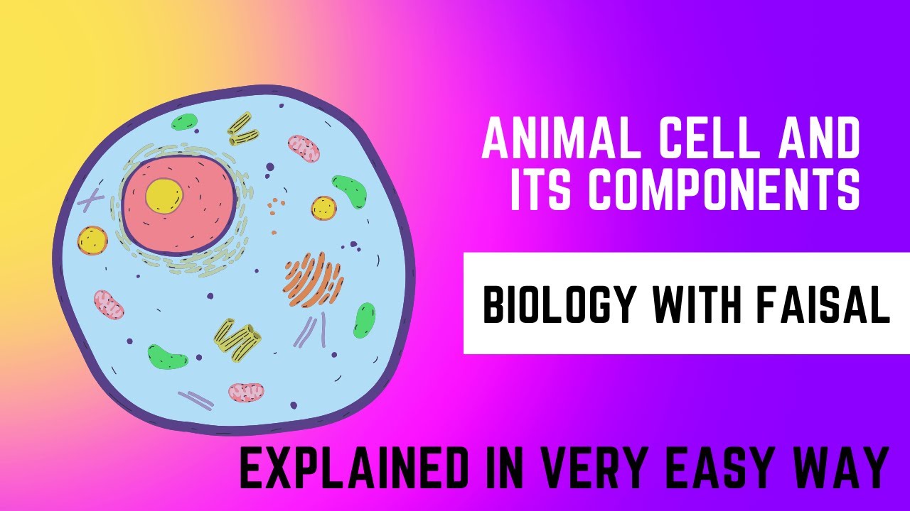 Animal Cell and Its Components Explained | Biology with Faisal | NEET ...