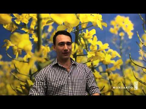 Meet our people - Donald Benn - YouTube