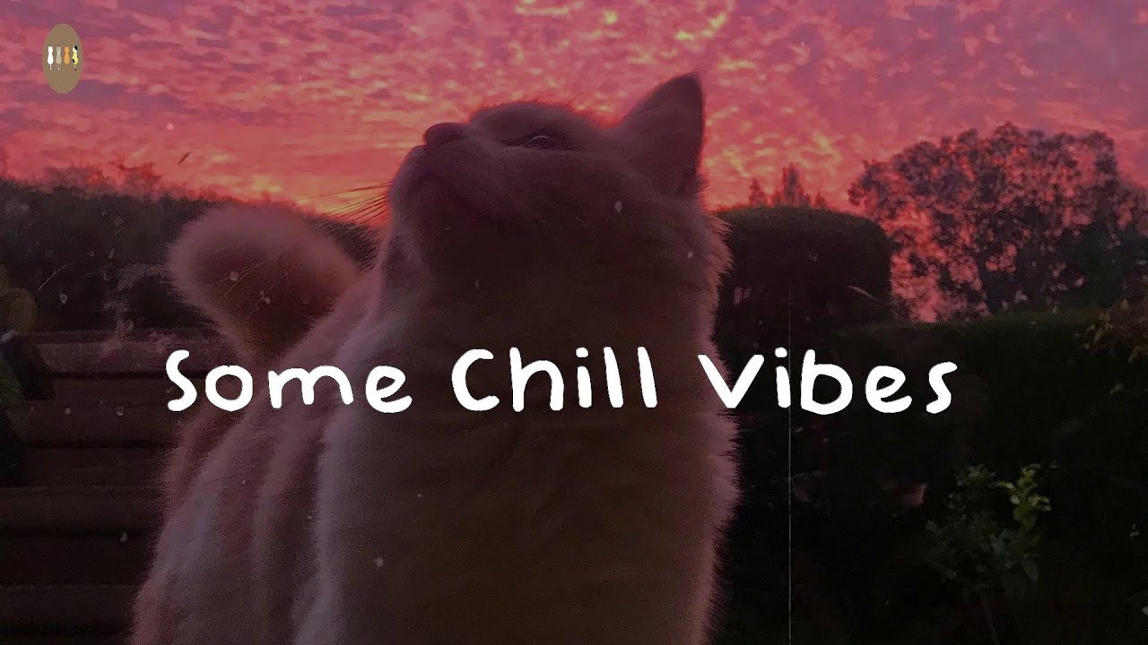 Some Chill Vibes - spotify playlist aesthetic that bring you good ...