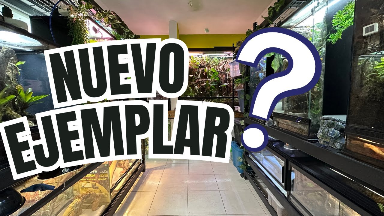¿UN NUEVO EJEMPLAR? - YouTube