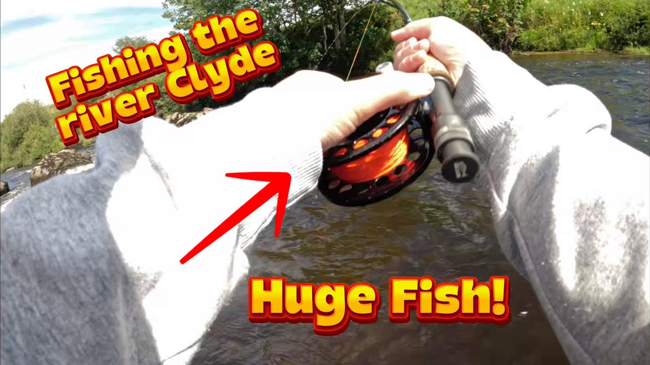Fishing the river Clyde (massive fish lost) - YouTube