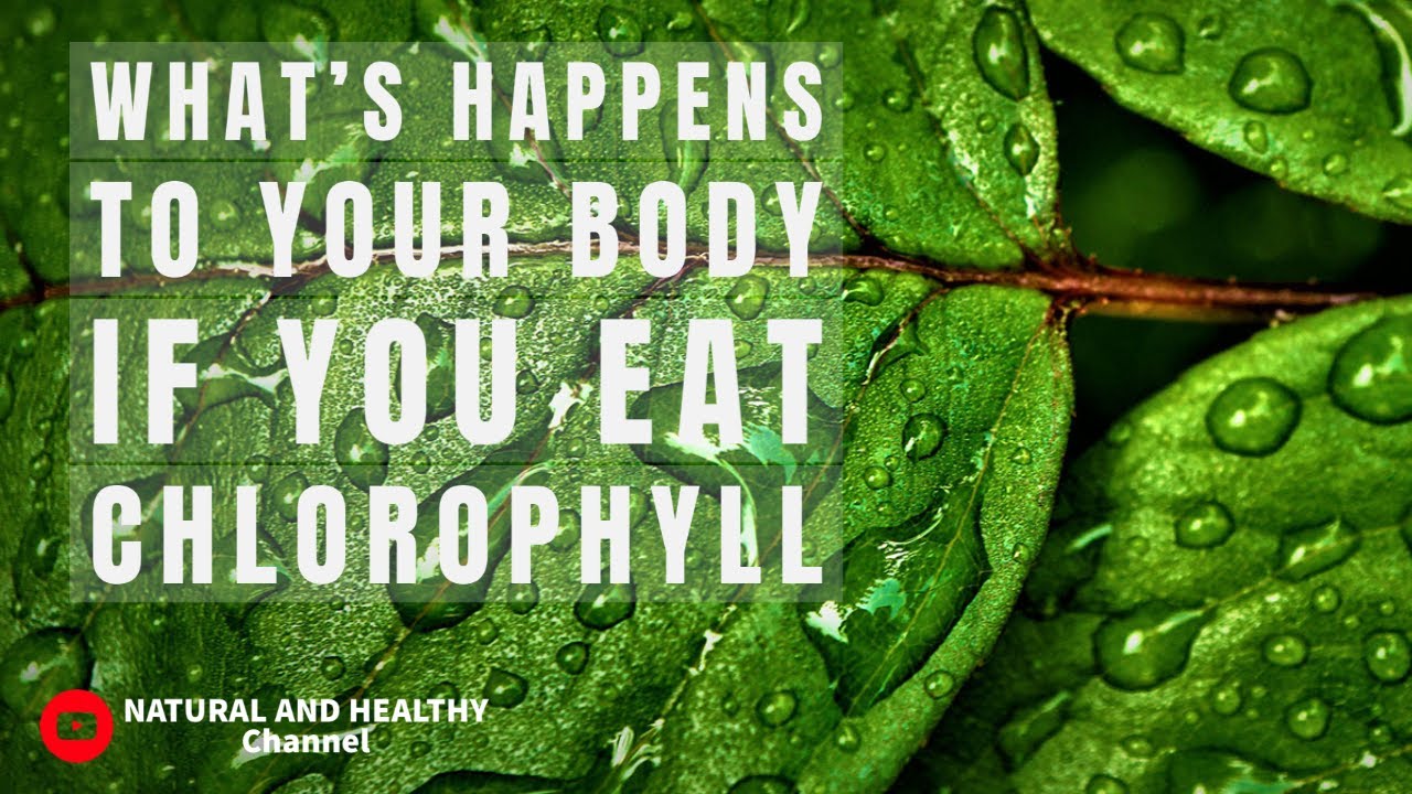 WHAT'S HAPPENS TO YOUR BODY IF YOU EAT CHLOROPHYLL - YouTube