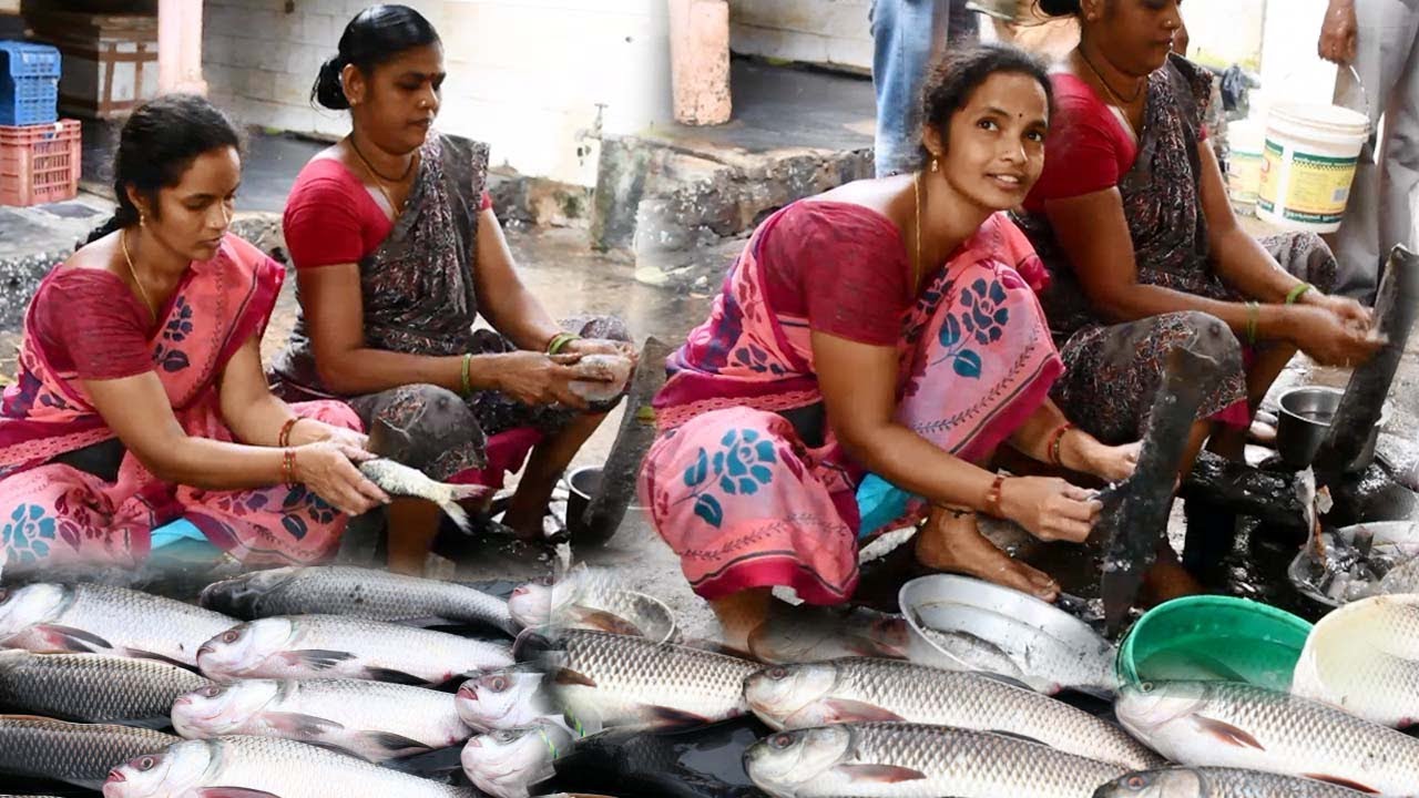 Amazing Lady Fish cutters|Village Style Fish cutting by Lady|Fish ...