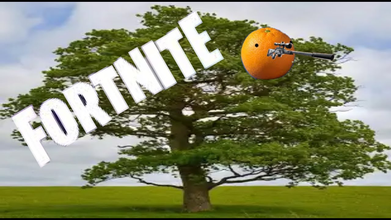 tree camping and death in fortnight - YouTube