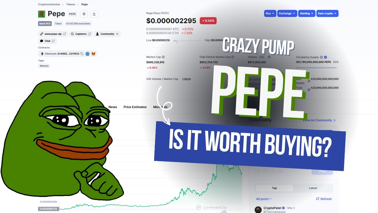 Crazy Pump - PEPE - Project for 100 X - Worth Buying? - YouTube