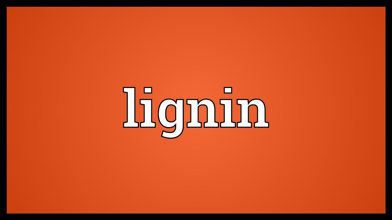 Lignin Meaning - YouTube