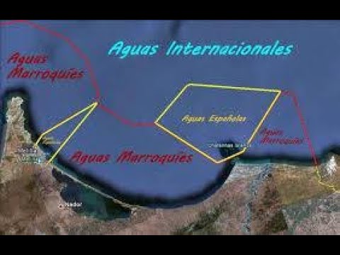 ©️🌎 Esta es la INCREÍBLE historia de LIMACOS, "La - YouTube