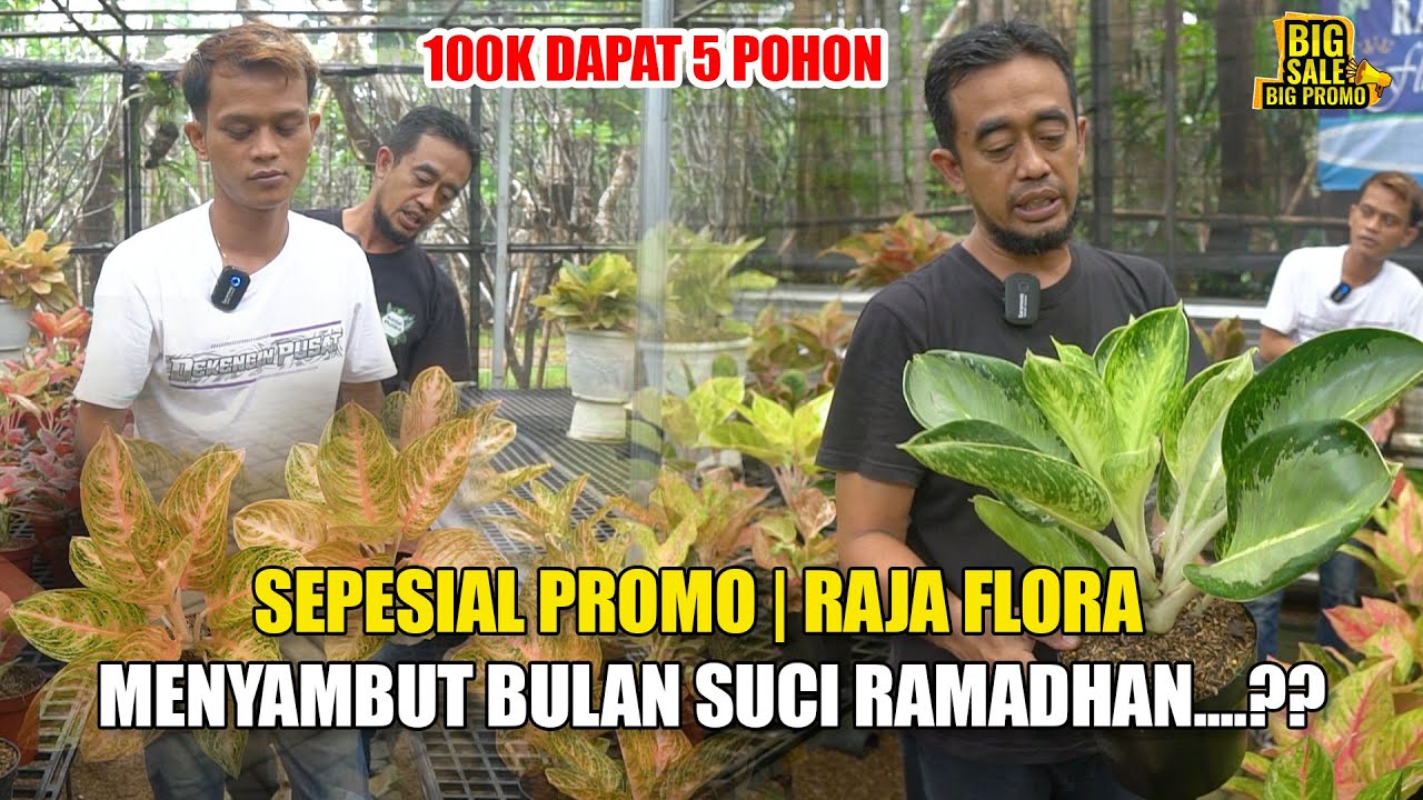 SEPESIAL PROMO | RAJA FLORA MENYAMBUT BULAN SUCI RAMADHAN - YouTube