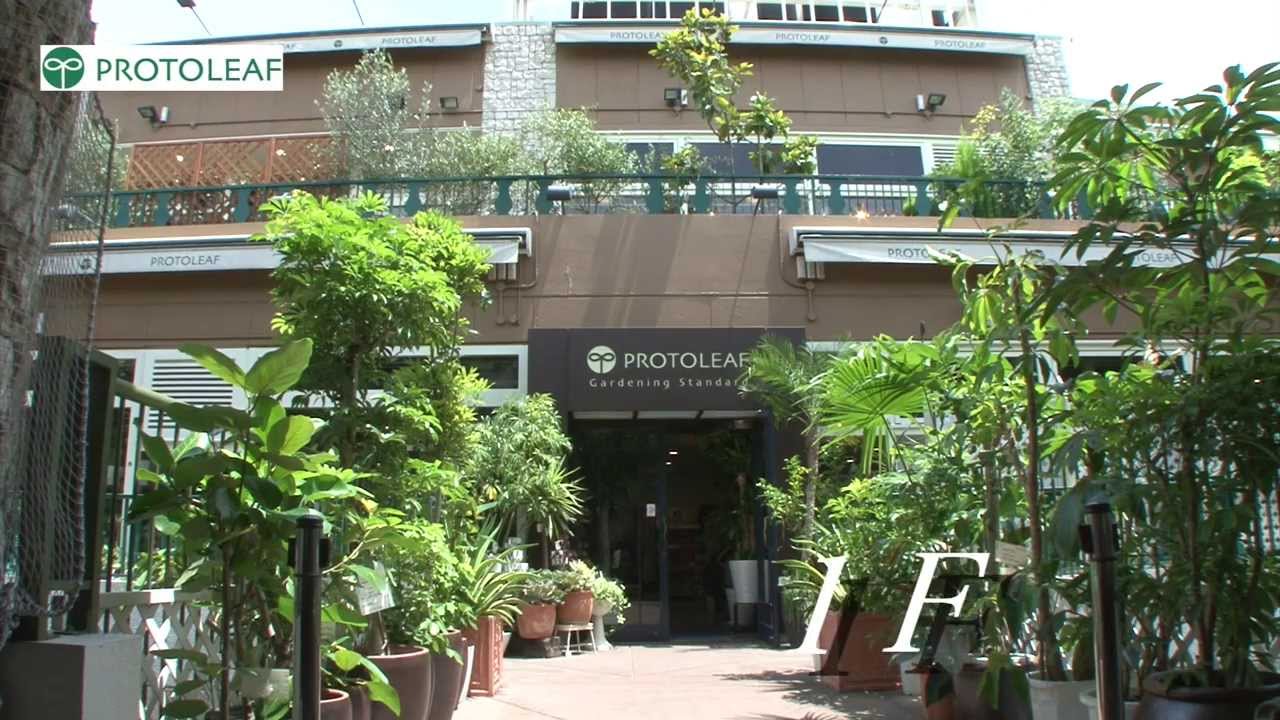 Protoleaf garden island TamagawaTakashimayaS・C information - YouTube