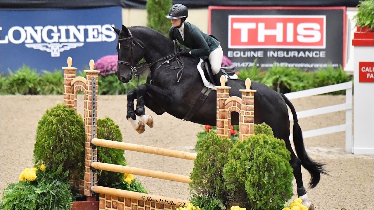 13. NHS Hamel Family Foundation Finals - YouTube