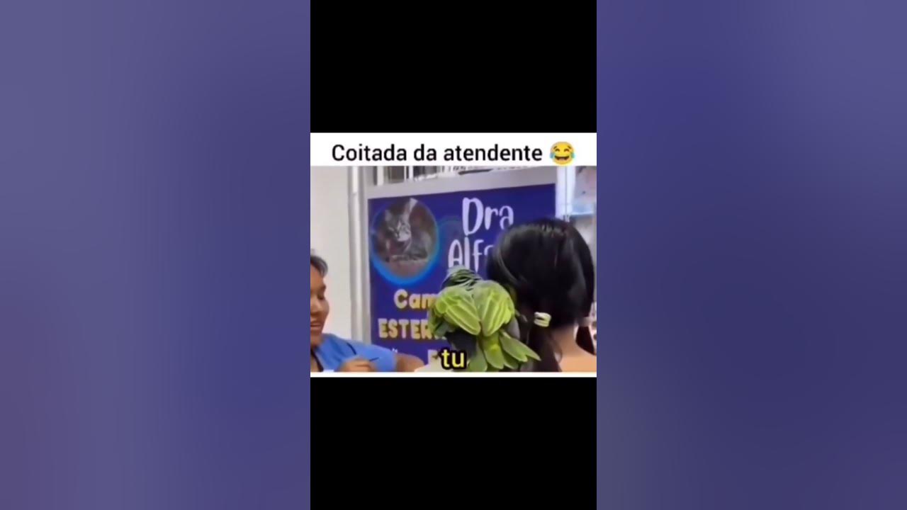 TENTE NÃO RIR Ep268 - YouTube