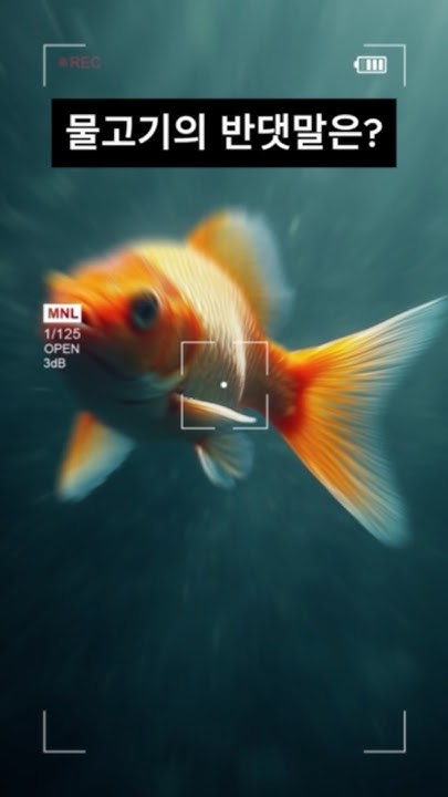 물고기의 반댓말은넌센스퀴즈를 풀어보세요넌센스퀴즈 Ai 아재개그 아재개그모음 개그배틀 언어유희 메모리 말장난 웃긴영상 챗gpt 인공지능 Youtube