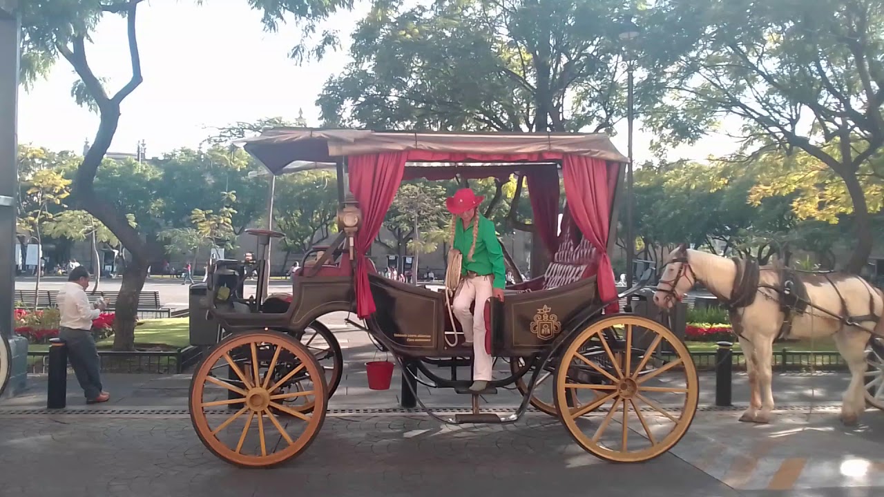 Visita la Perla Tapatia Teresita Falcón - YouTube