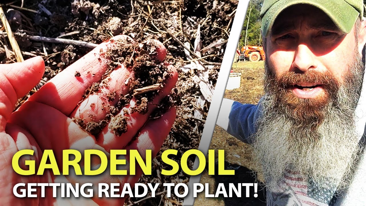 FINAL Plans To Get My Garden Ready For Spring - YouTube